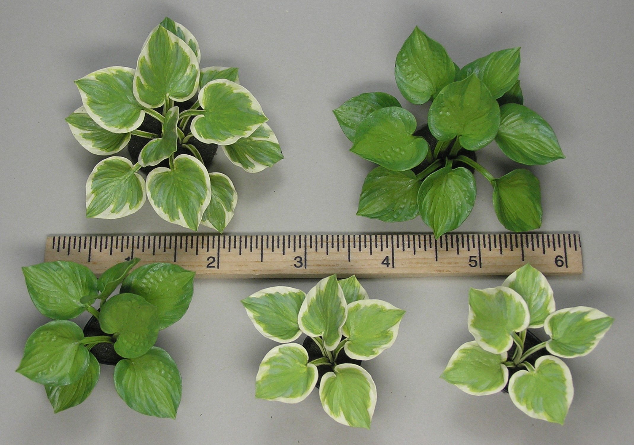 Dollhouse Miniature Plants by Carolyn Mohler Kraft HOSTA