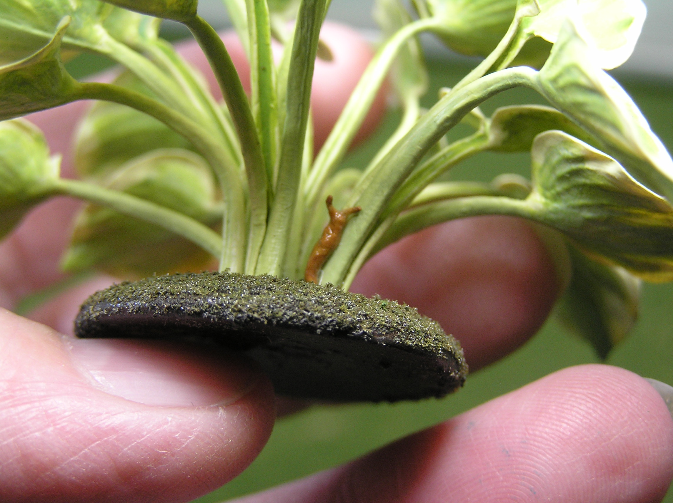 Dollhouse Miniature Plants by Carolyn Mohler Kraft HOSTA